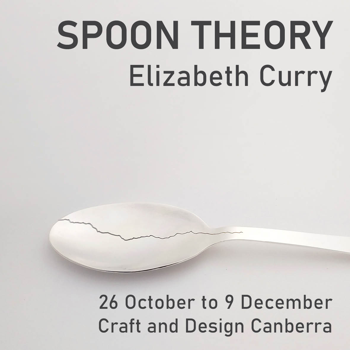 Spoon Theory Exhibition Essay Jenni Curry